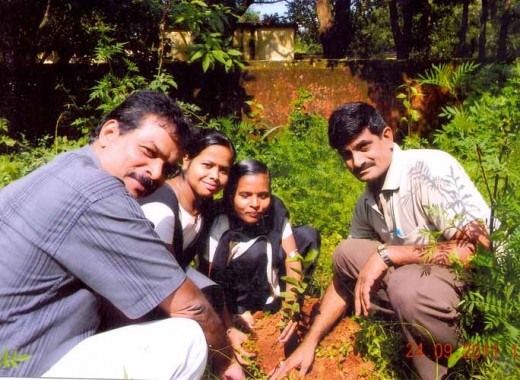 Semiliguda College, Semiliguda, Assam - Careerindia