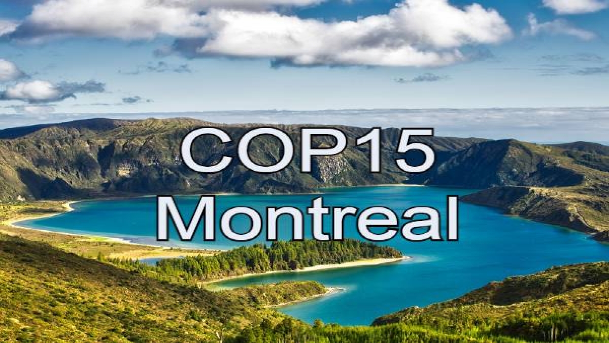 Global deal to reverse nature loss by 2030 agreed - Careerindia