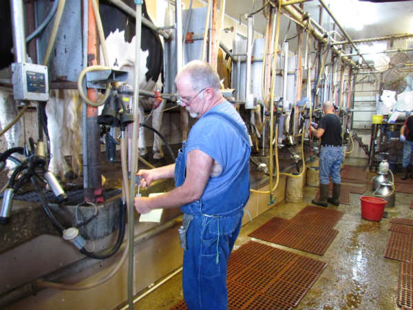 What is B.Tech in Dairy Technology and its scope - Careerindia