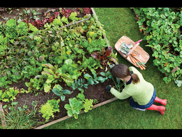 Canada keen to set up horticulture varsity in Haryana - Careerindia