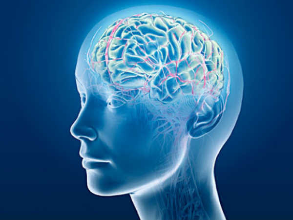 4 Tips And Tricks To Improve Your Memory Skills Careerindia