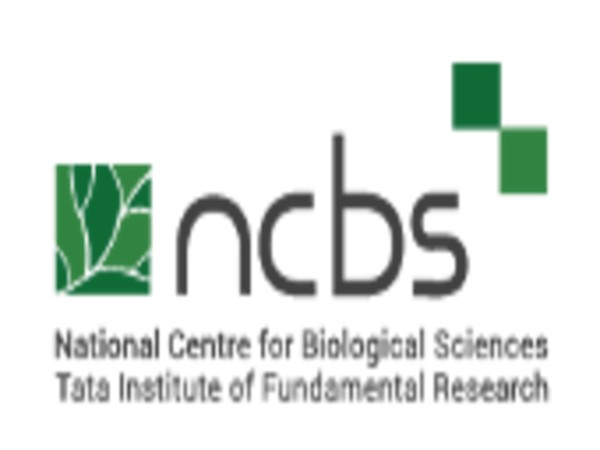 NCBS Recruitment 2020 For Project Assistants And Associates, E-mail ...
