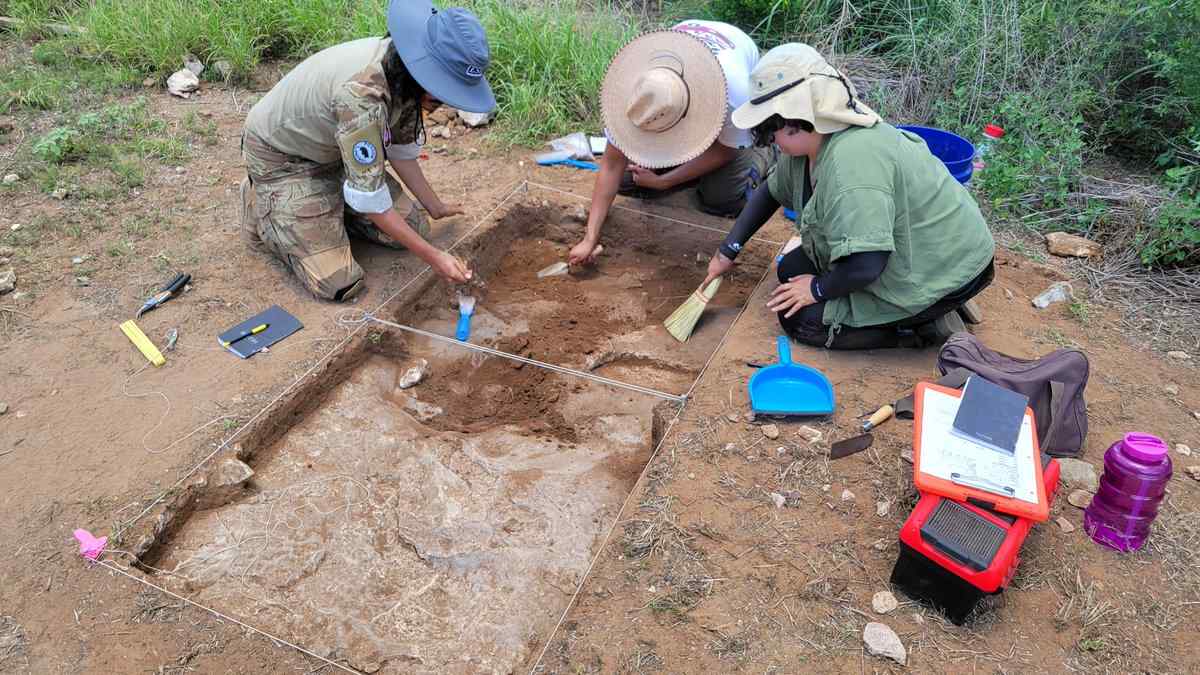 BA in Archaeology: Scope, Best Colleges, and Admission Details ...