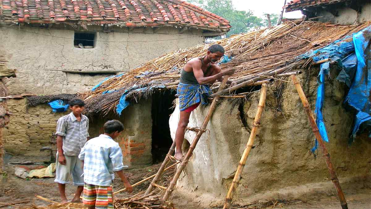 BA in Rural Studies: Scope, Best Colleges, and Admission Details ...