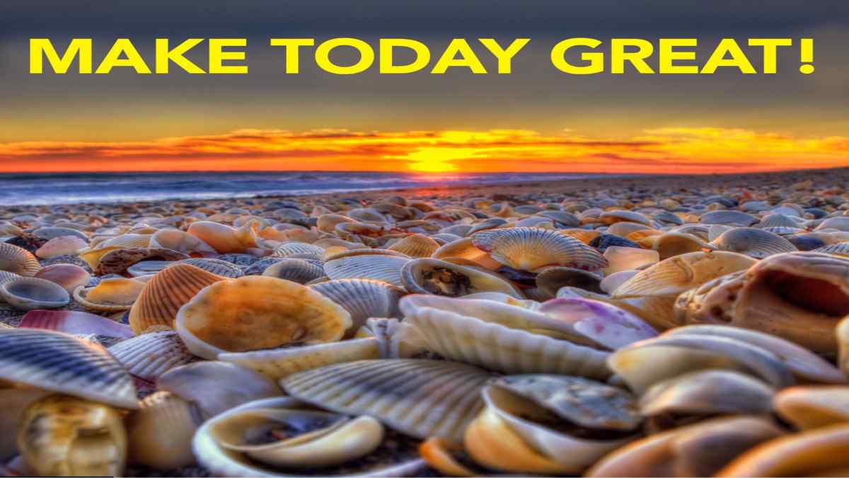 What makes seashells sound like the sea? - Careerindia