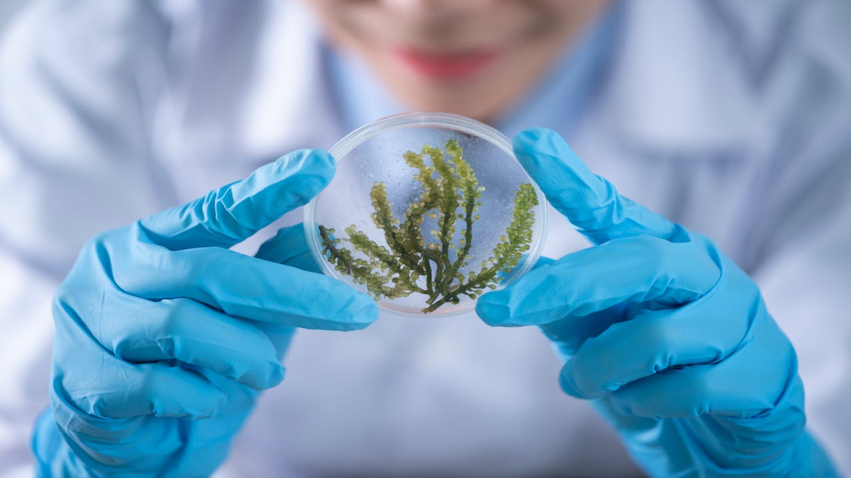 Year Ender 2023: List of Discoveries in 2023 - Careerindia